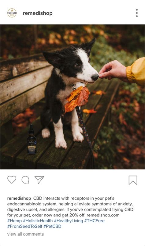 Remedi Cbd Symboliq Media