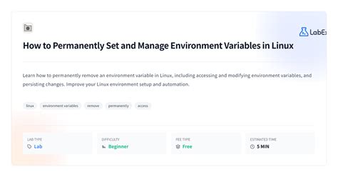 How To Permanently Set And Manage Environment Variables In Linux Labex
