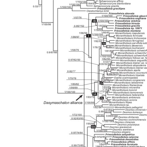 bayesian 50 majority rule consensus tree of a simultaneous analysis of