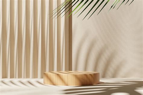 벽에 분기와 그림자가있는 추상적 인 기하학적 구성 3d 렌더링 화장품 디스플레이는 갈색 배경에 서 있습니다 3d 렌더링 0명에 대한 스톡 사진 및 기타 이미지 Istock