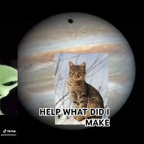 Zip Zip Zip Zip Zip Zip Youtube