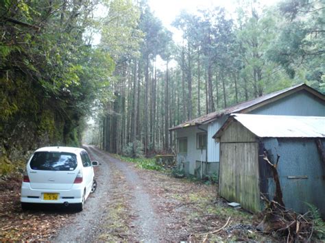 高知県香美市旧物部村中津尾 HEYANEKOの棲み家へき地ブログ