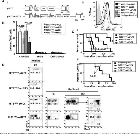 Figure 5 From Loss Of The Wild Type Allele Contributes To Myeloid Expansion And Disease