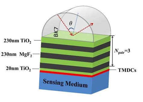 Schematic Diagram Of Bsw Optical Sensor Coated With Tmdcs Mose2 Wse2 Download Scientific