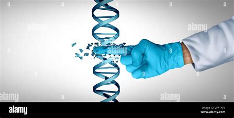 Gene Engineering And DNA Or Genetic Therapy As A CRISPR Biotechnology Concept With A Double