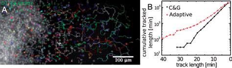 Figure 1 From Adaptive Settings For The Nearest Neighbor Particle Tracking Algorithm Semantic