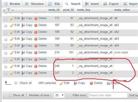 Query All Posts Where Meta Value Is Empty Wordpress Development Stack