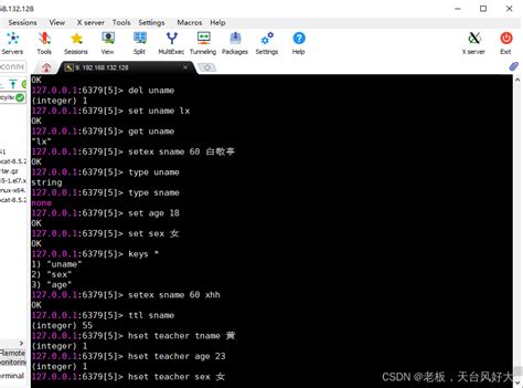 Linux之redis安装及配置kinux里查询redis Csdn博客 Linux之redis安装及配置kinux里查询redis Csdn博客