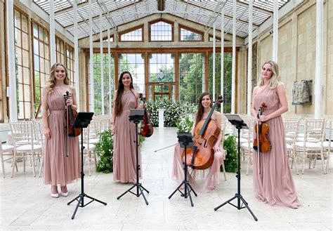 Sonata Strings — Naq Entertainment