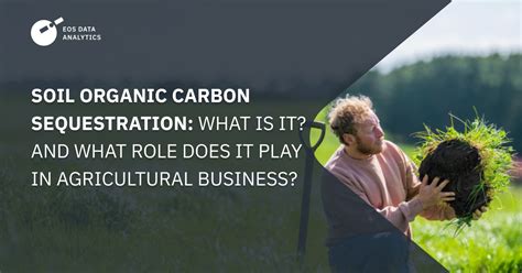 Soil Carbon Sequestration What Is It And How To Measure