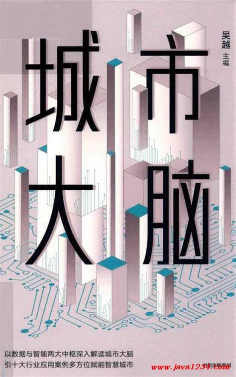 城市大脑 吴越 pdf 下载 java知识分享网 免费java资源下载