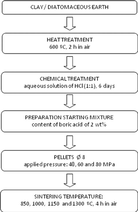 Schematic Overview Of The Experimental Procedure Download Scientific