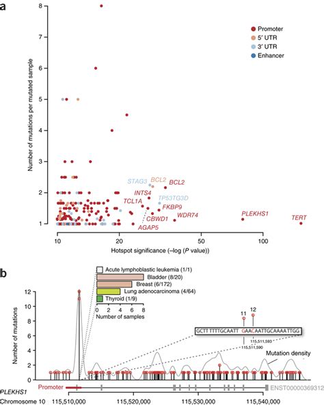 Hotspot Analysis A Significance Of Mutation Hotspots In Noncoding Download Scientific