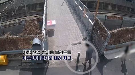 망치 들고 동네 활보하던 아재 포텐 터짐 최신순 에펨코리아