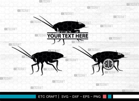 13 Roaches Svg Designs And Graphics