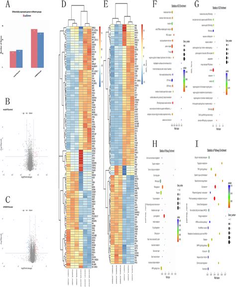 Expression Profiles Of Mrnas In Experimental Groups Differential Mrna Download Scientific