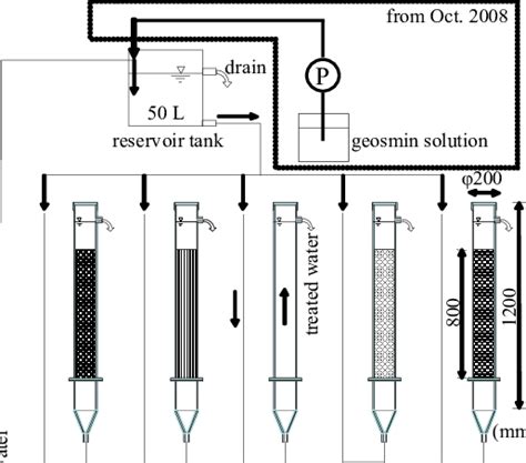 Schematic Diagram Of The Continuous Experiment Download Scientific Diagram