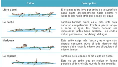 NataciÓn Estilos De La NataciÓn