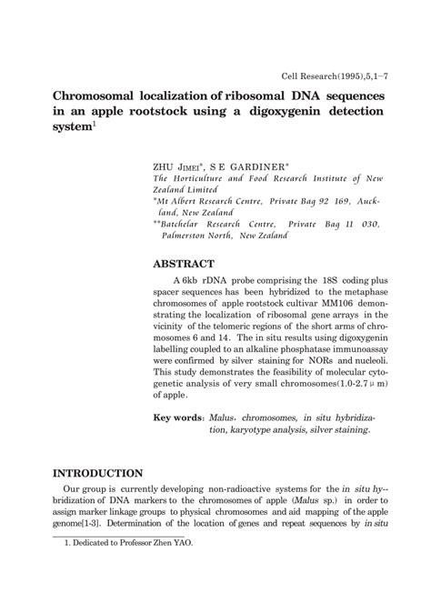 Pdf Chromosomal Localization Of Ribosomal Dna Sequences In An Apple