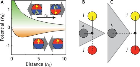 Polarity Dependent Potential Nearest Neighbor Cells Are Modeled As