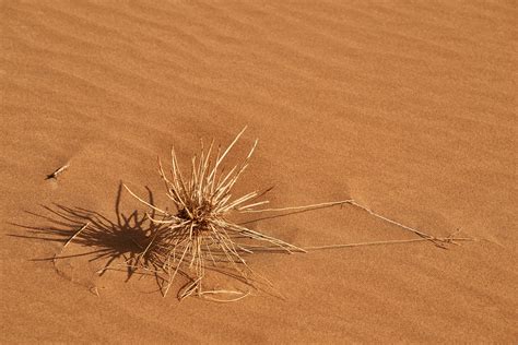 음수 공간이 있는 텍스처 Unsplash