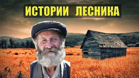 РАССКАЗЫ ЛЕСНИКА СУДЬБА ИСТОРИИ из ЖИЗНИ СЕРИАЛ МЕДВЕДИ ВОЛКИ ВЫЖИВАНИЕ в ЛЕСУ ОХОТА РЫБАЛКА в