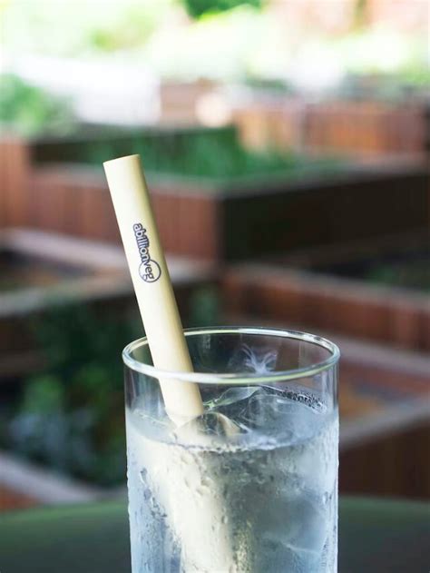 10 Reasons Why You Should Avoid Drinking Cold Water