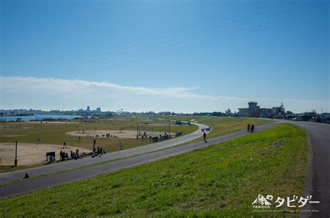 東京RUN 8 水辺25kmランニングコース 江戸川水元公園メタセコイアの森竜泉寺の湯 タビダー