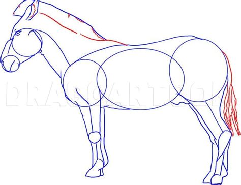 How To Draw A Zebra Step By Step Drawing Guide By Dawn Zebras