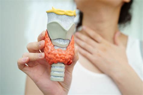 Hyperthyroidism Overactive Thyroid Thyroid Lymphoma Asian Woman With Thyroid Gland Human