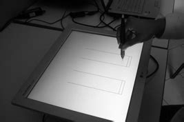 Before Performing The DP TC Test Stimuli Parallels Right Hand Download Scientific Diagram