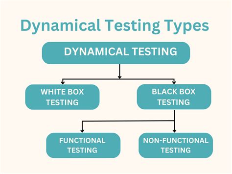 What Is Dynamic Software Testing
