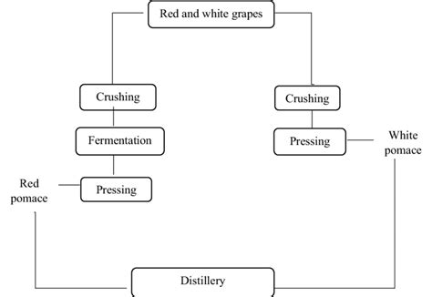 Flowchart Of Winemaking Techniques Explaining The Different Red And Download Scientific Diagram