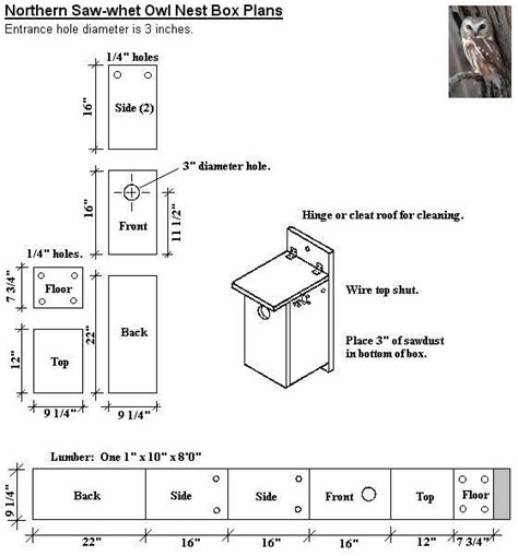 Discover 15 Owl Houses And Owl House Ideas Bird House Plans Owl Box