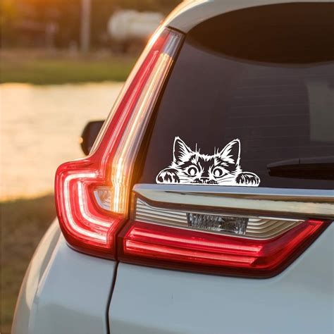 Cat Decal For Car Etsy