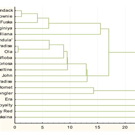 Dendrogram Of 19 Genotypes Of Malus Spp Based On The Content Of