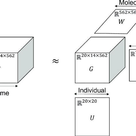 Tensor Decomposition Using The Tucker Model Is A Weighted Sum Of Outer Download Scientific
