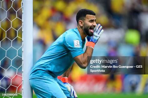 Sheeb Photos And Premium High Res Pictures Getty Images