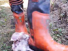 Crushing Husqvarna Chicken Thisvid Com