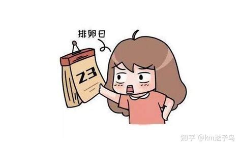 大姨妈结束后多久是排卵期？ 知乎
