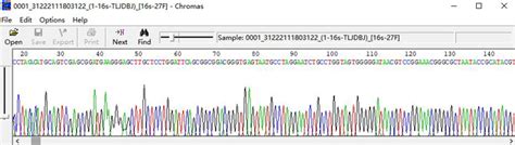 干货｜菌（毒）种鉴定指导原则与鉴定方法进行核酸序列