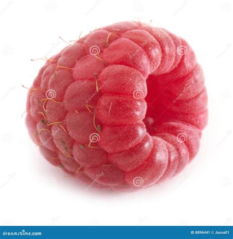 Raspberry Fruit Stock Image Image Of Fresh Fruit Sweet 8896441