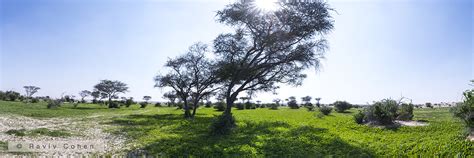 Qatar E Nature Ecosystems Rawdat Sinkholes And Caves