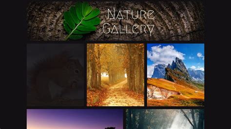 responsive lightbox gallery