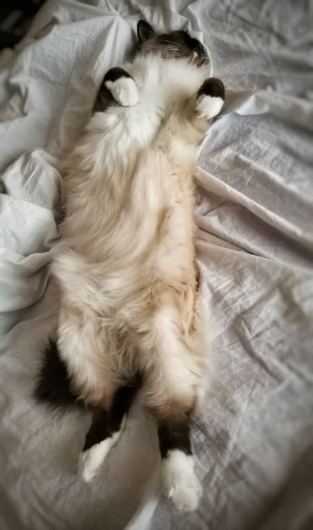 Surfer Tumbex
