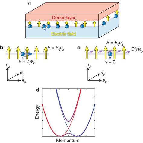 Pdf Spin Orbit Coupling In Quantum Gases