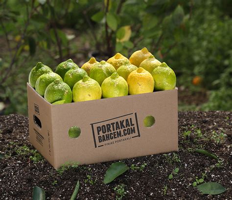 Yediveren Limon 3 Kg Portakalbahçem Teruarında Yetiştirdiğimiz Mahsullere Kaynağından Ulaşın