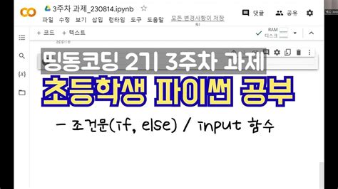 초등 파이썬 기초 공부 3 If Else 조건문 Input 함수 띵동코딩 3주차 복습 Youtube