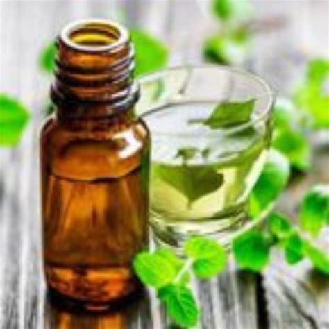 Alpha Pinene Continental Seeds And Chemicals Ltd