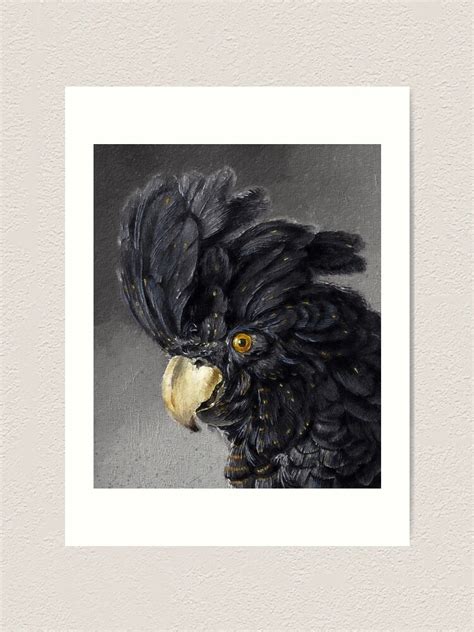 Australian Banksian Black Cockatoo Calyptorhynchus Banksii Red